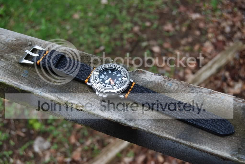 Shark attack! | WatchUSeek Watch Forums